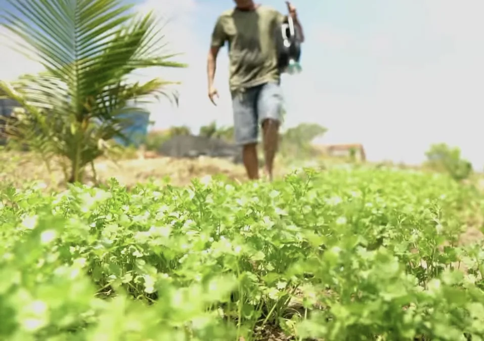 Gararu Valoriza Agricultura Familiar e Transforma a Alimentação Escolar ...